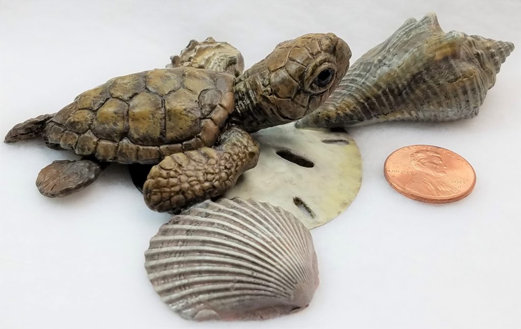Just a Sanddollar from the Sea – Eric Thorsen Gallery